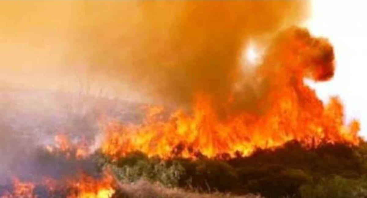 Αιώνια πιστοί: Κάλεσμα για βοήθεια στους πυρόπληκτους | Thema Sports ...